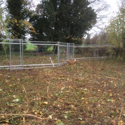 Tree Protection During Construction | MacDonald Fencing & Sons