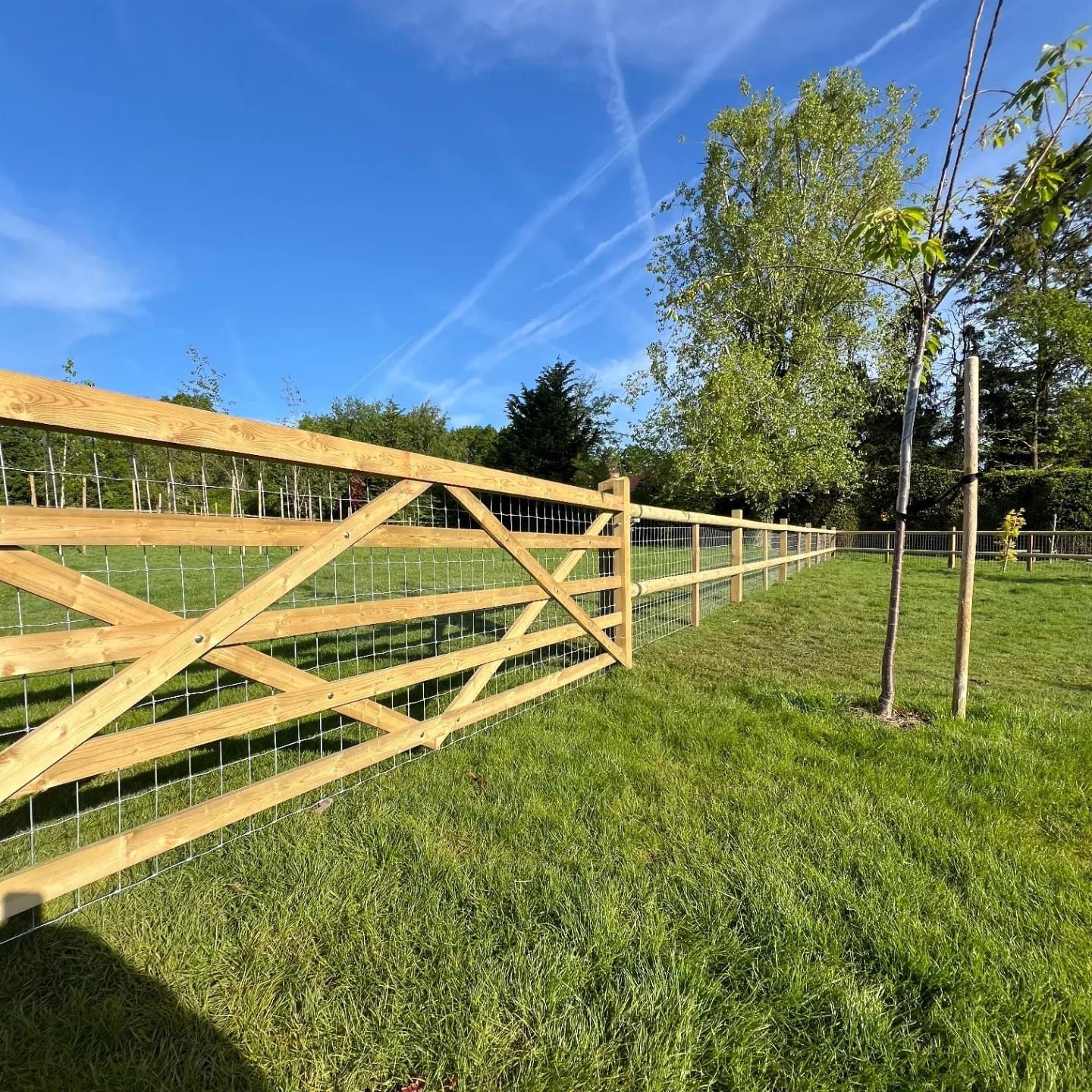 Free estimates: Chain link fencing, Dog & Animal Proofing - Macdonald ...